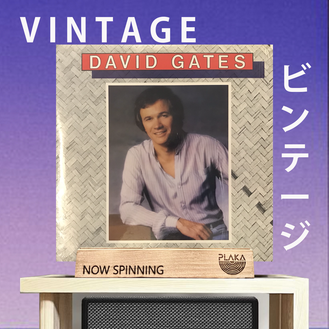 David Gates - Take Me Now – Plaka.MNL