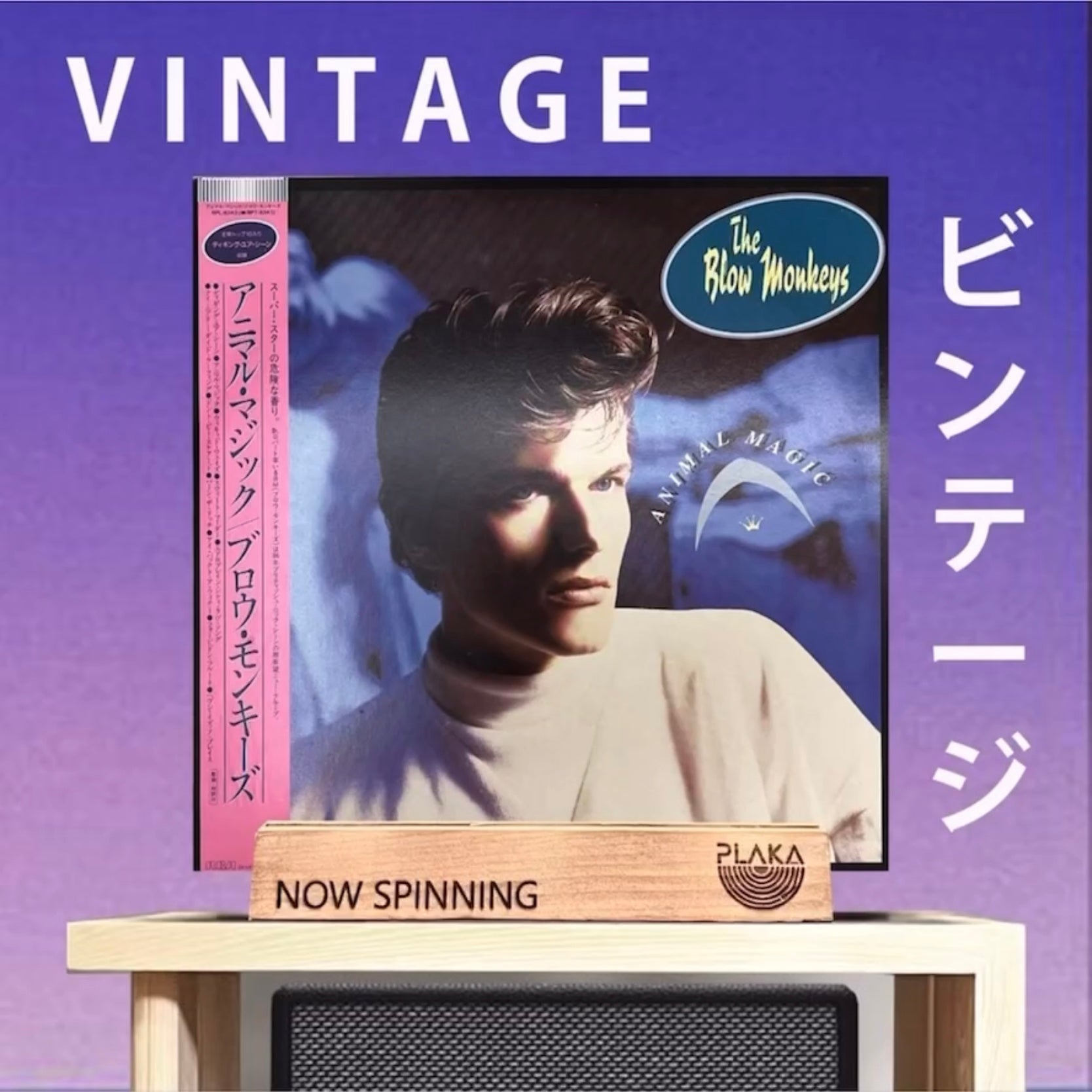 Blow Monkeys - The Animal Magic – Plaka.MNL